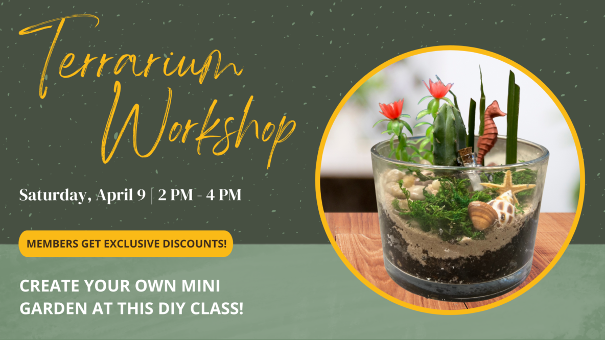 DIY Terrarium Workshop - Percolator